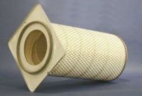 Braden Farr “Tenkay”Flange Top Pulse Filter